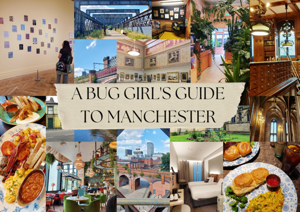 A Bug Girl’s Guide to Manchester - Bug Girl Adventures